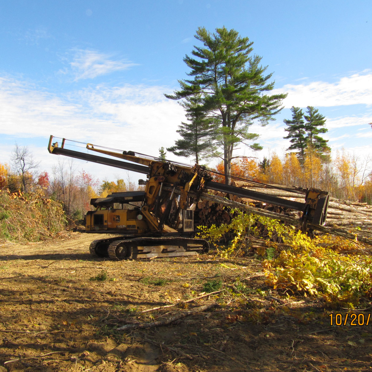 Maine Logging, Timber Harvesting, and Forest Management