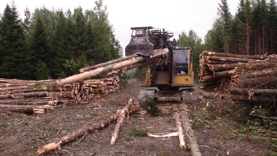 Stroke Delimber | Gallery | Maine Logging, Timber Harvesting, and ...