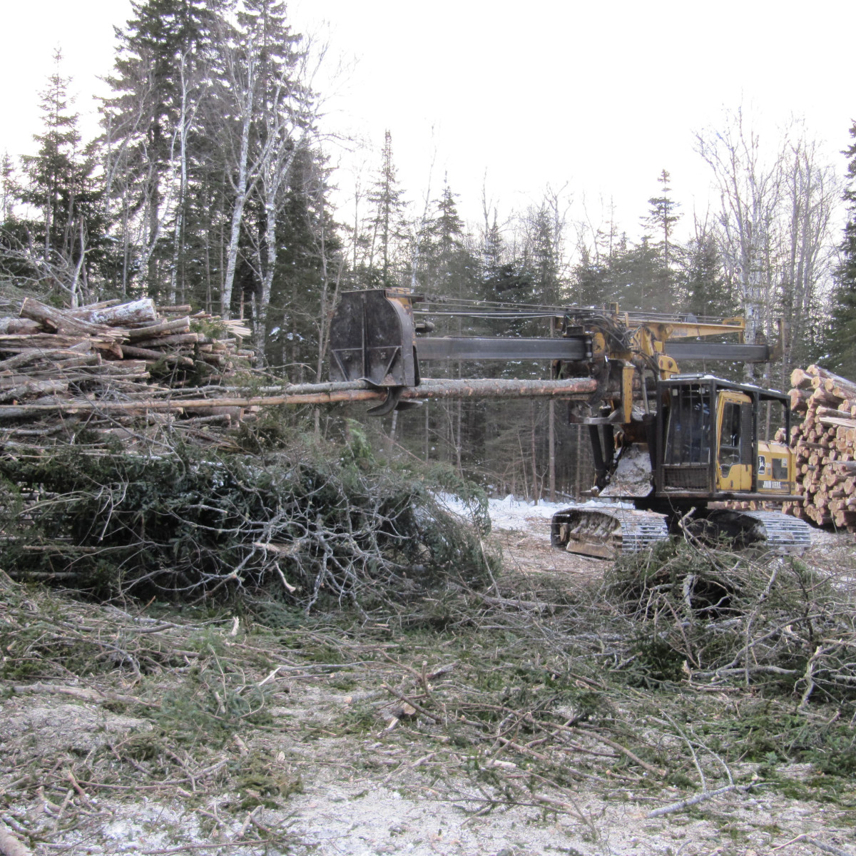 Stroke Delimber | Gallery | Maine Logging, Timber Harvesting, and ...