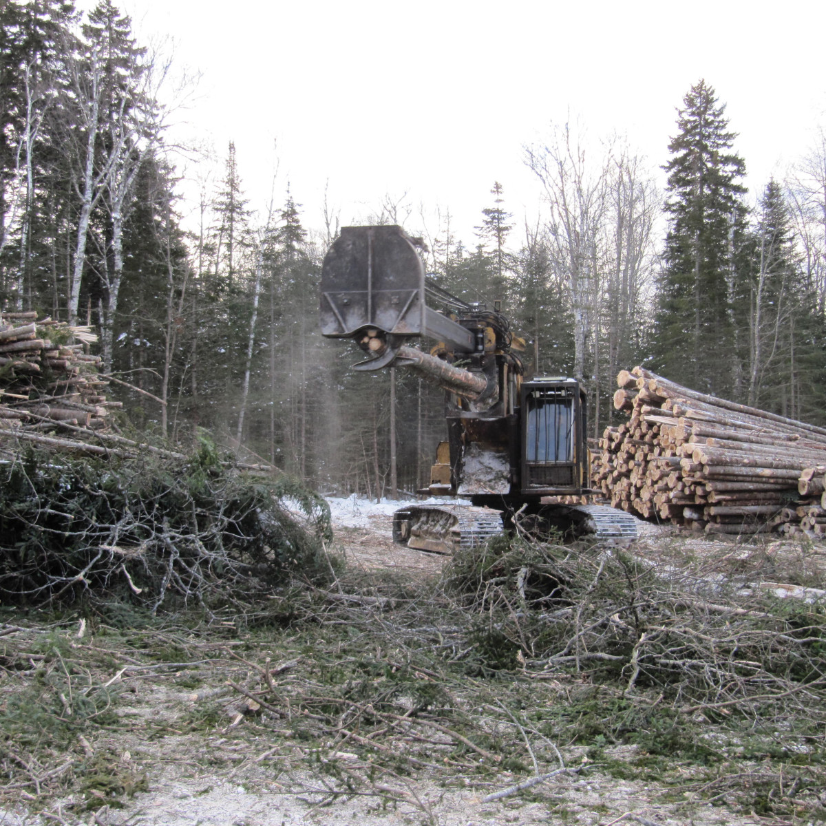 Stroke Delimber | Gallery | Maine Logging, Timber Harvesting, and ...