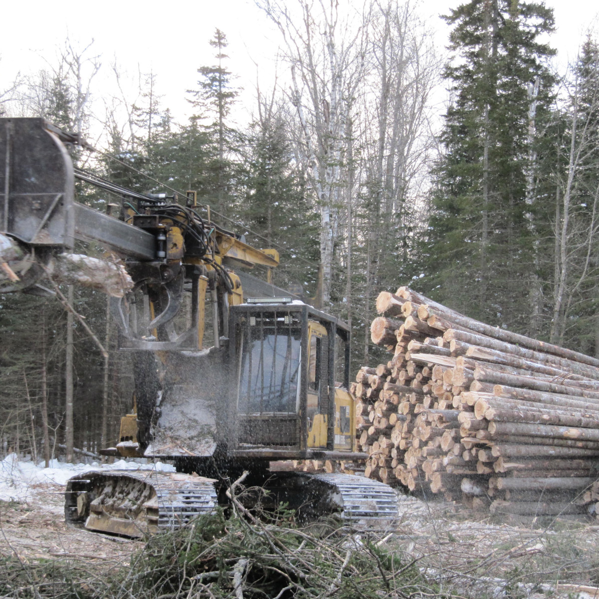 Stroke Delimber | Gallery | Maine Logging, Timber Harvesting, and ...